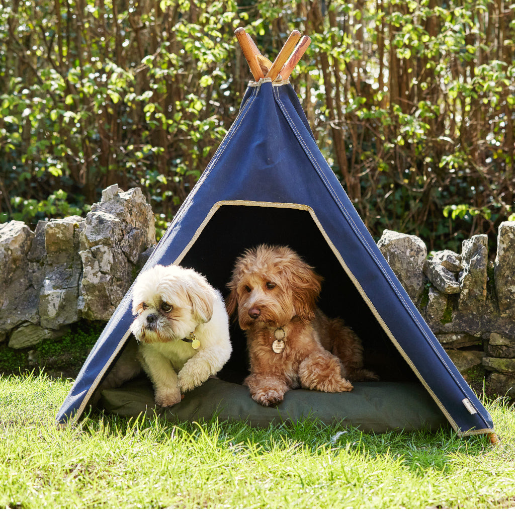 Pooch and Paws - Dog Teepee and Cushion Beds